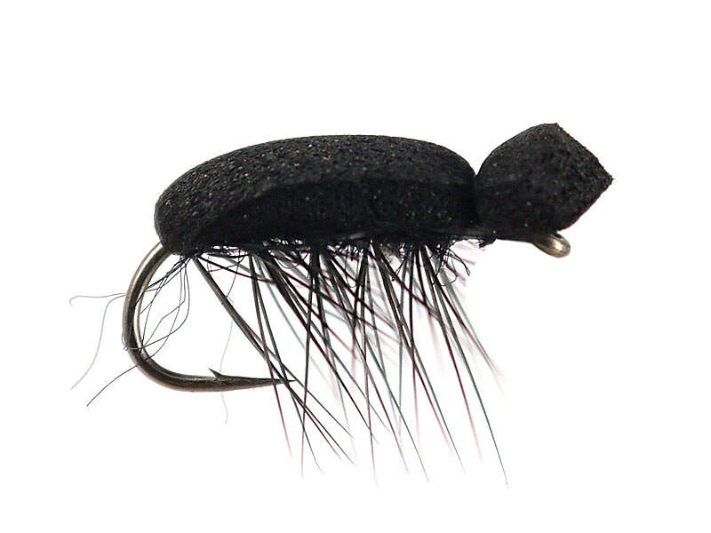 Tonis Foam Beetle