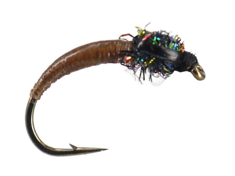 Brown Peacock Buzzer