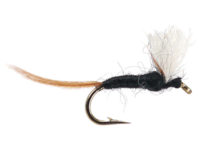 Tricorythodes Male Spinner